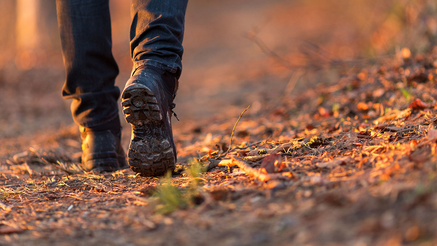 North Dakota Outdoors Hub | North Dakota Game and Fish