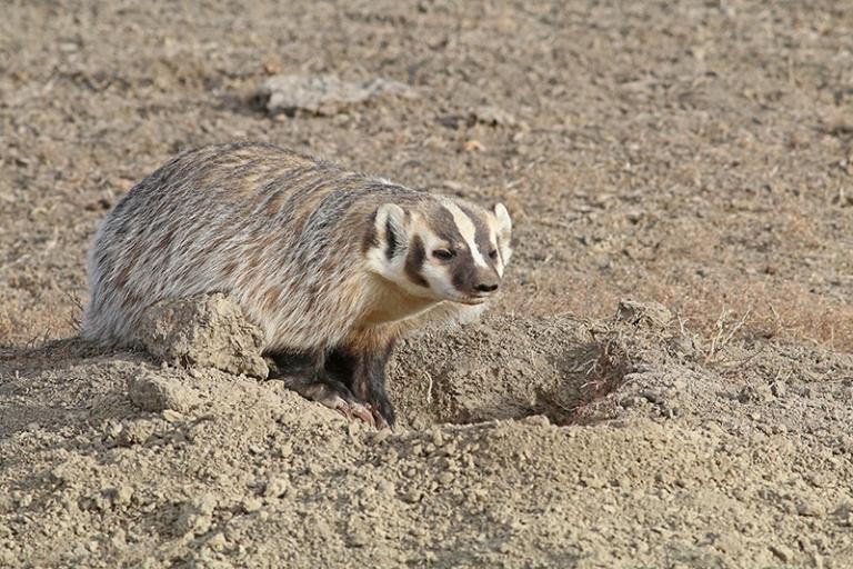 2016 National Park Service Centennial | North Dakota Game and Fish