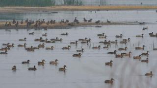Outdoors News | North Dakota Game and Fish